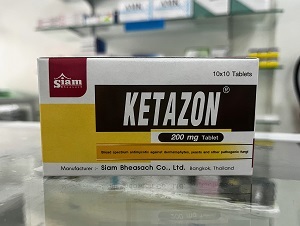 KETAZON（ケトコナゾール200mg）100錠×1箱｜真菌症（水虫など）-｜通販ショップ「健康-EMS」